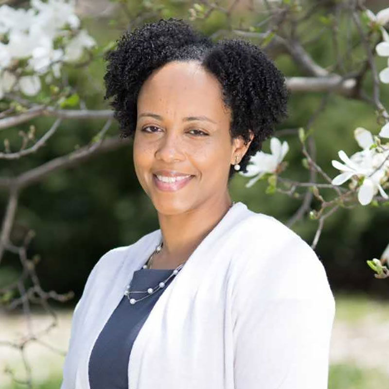 Ellis, K.R. (2023). Writing a K-Award with the reviewer in mind. Panel ...