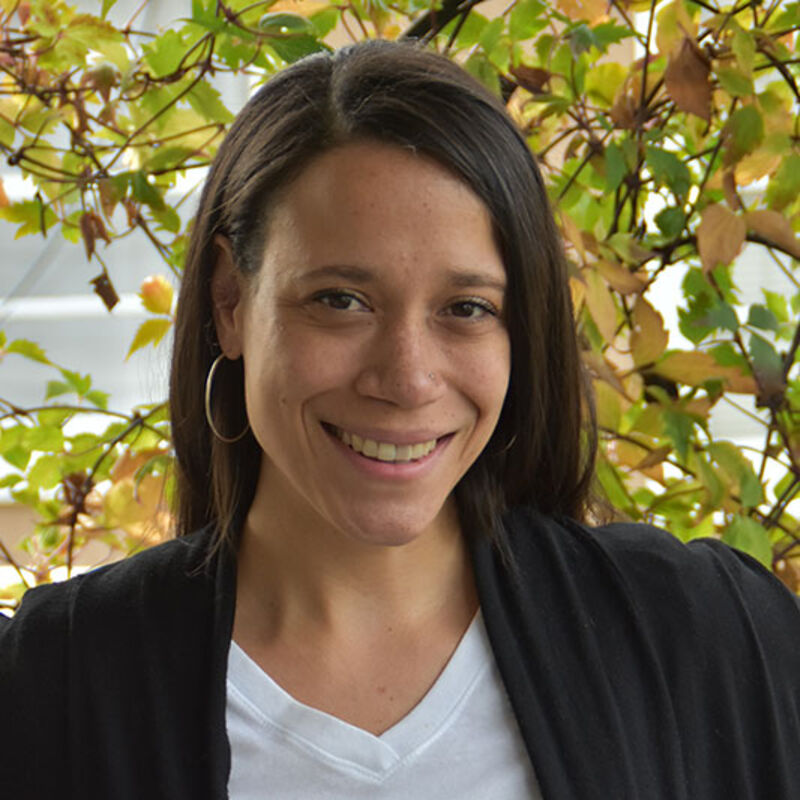 Routte, I. (2024, January) "Carcerality as 'Protection' and 'Safety ...